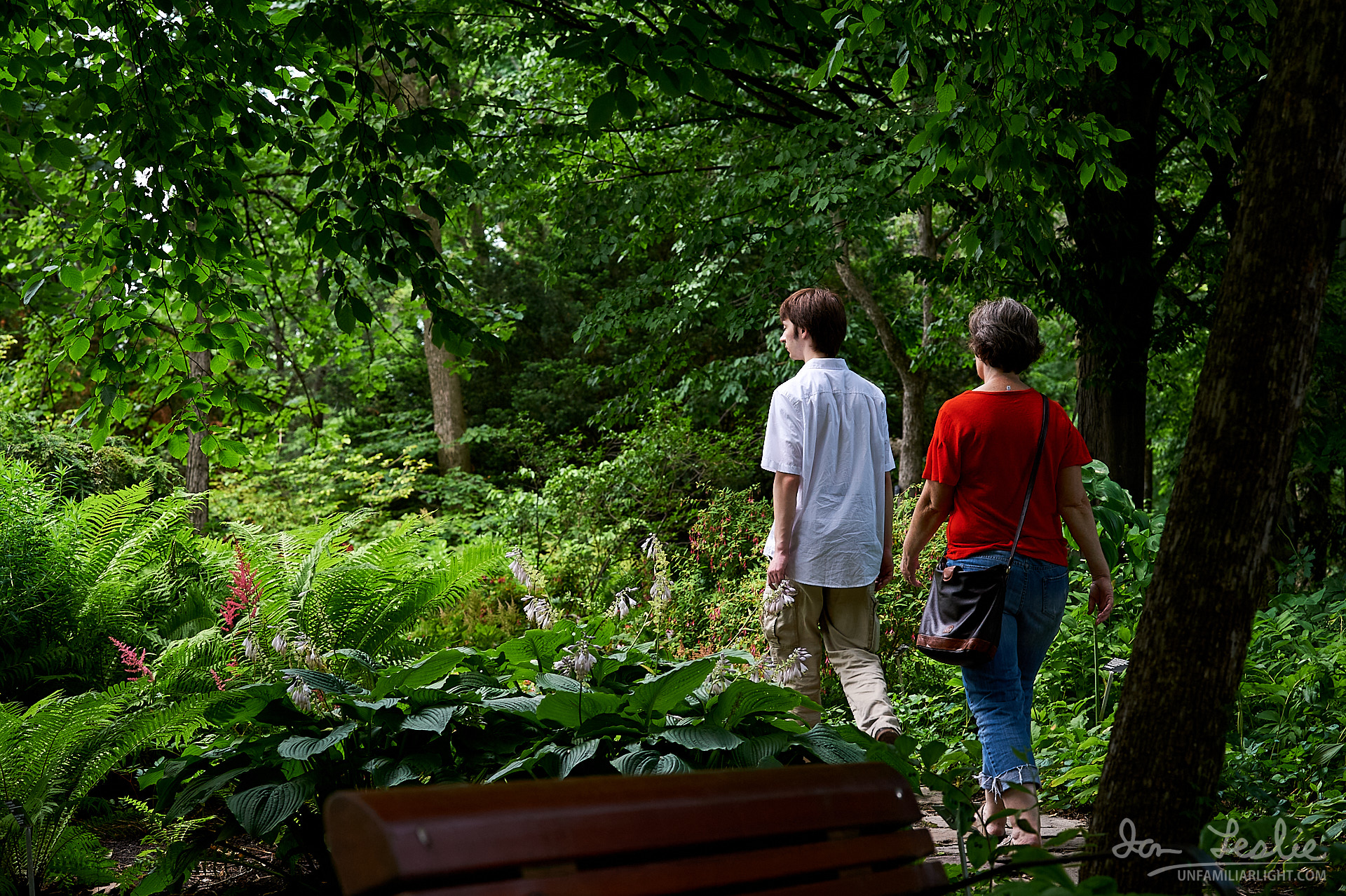 Walk in Montreal's Botanical Garden - Unfamiliar Light